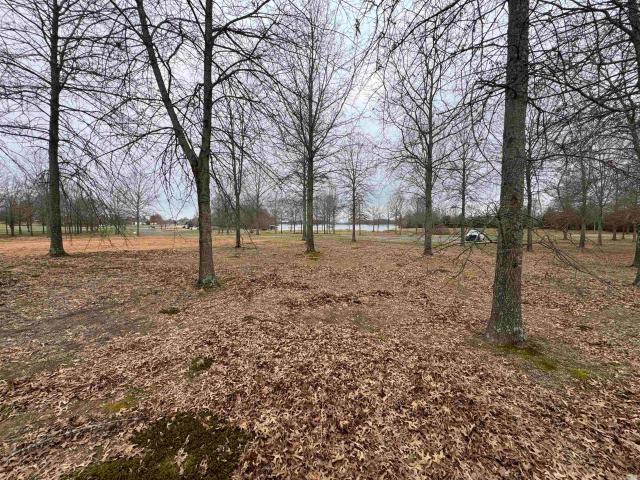 30R River Birch Drive