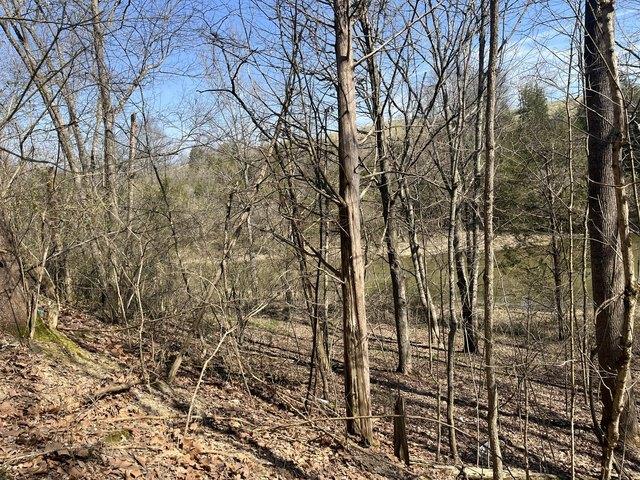 3105 Gratz 59 Rd # 60, Owenton, KY 40359