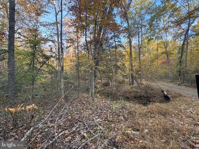 31078 Old Office Rd Lot 1