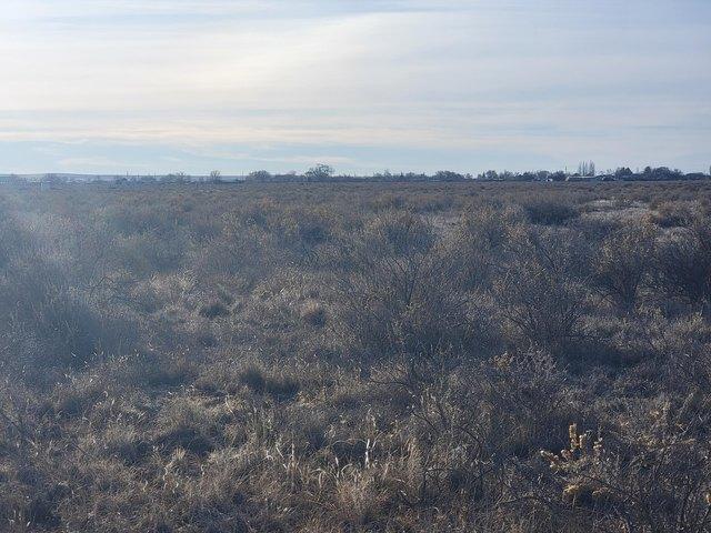 3107 E Martinez Rd, Moriarty, NM 87035