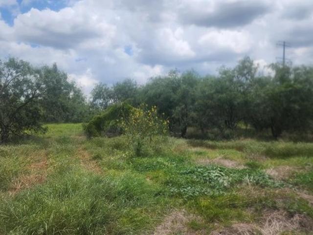 31099 FM 1575, Los Fresnos, TX 78566