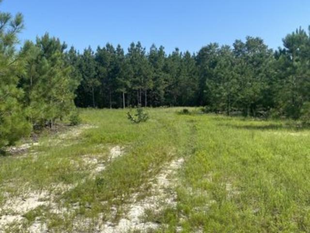 3109 Arcadia Rd, Bethune, SC 29009