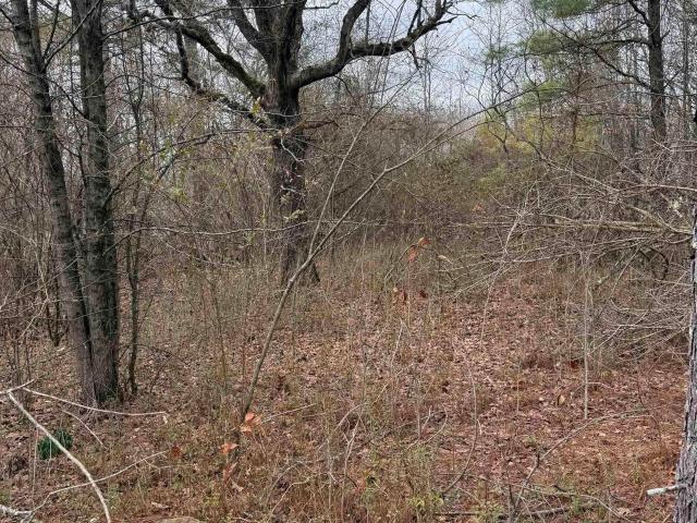 31000 W Hundley Road