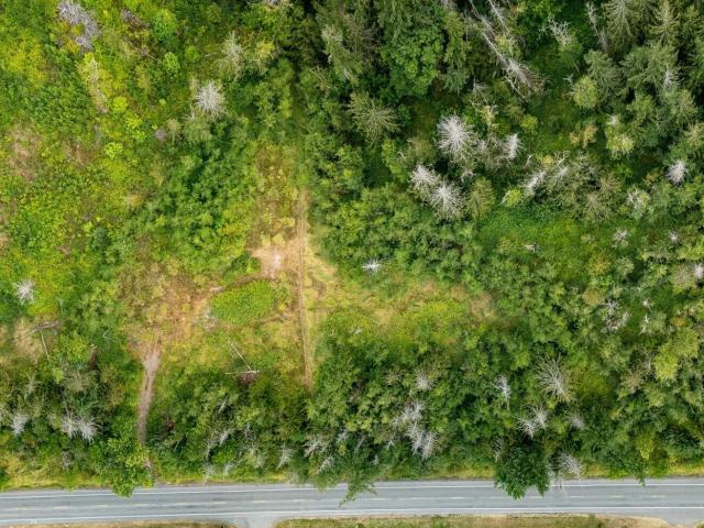3100 Mount Baker Highway