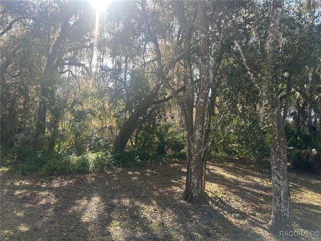 3100 N Edward Island Pt, Hernando, FL 34442