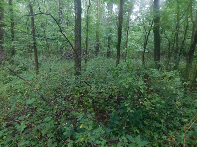 3100 county road 2370