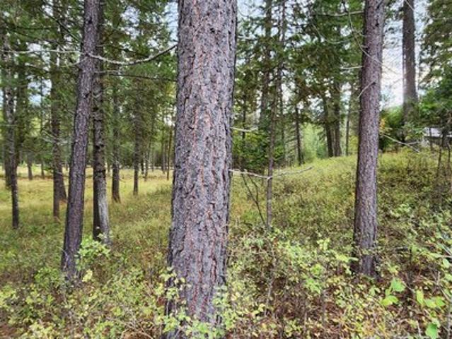 3100 Kootenai River Rd, Libby, MT 59923