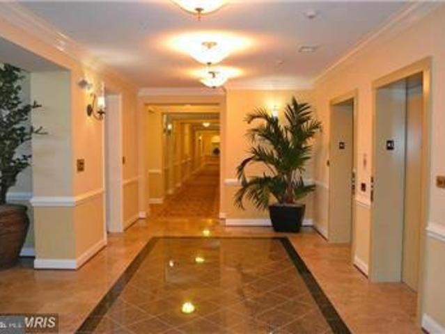 3100 Stone Cliff Drive # 201
