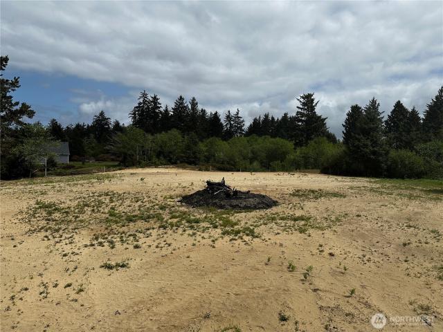 31010 Sandridge Rd, Oysterville, WA 98641 | MLS #2381