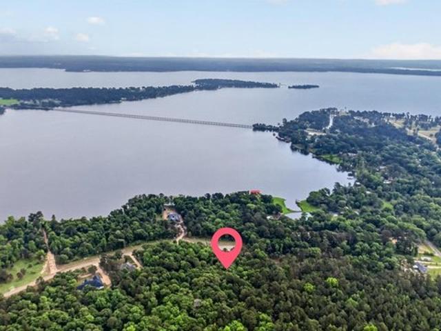 3101 Shadow Pine Dr, Larue, TX 75770