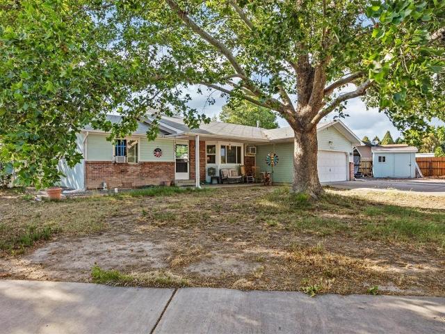3102 Pine Cone Court