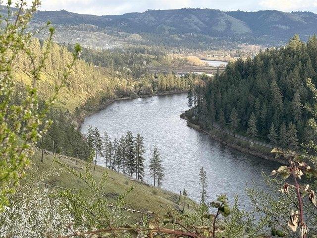 310 Cougar Rd, Kamiah, ID 83536