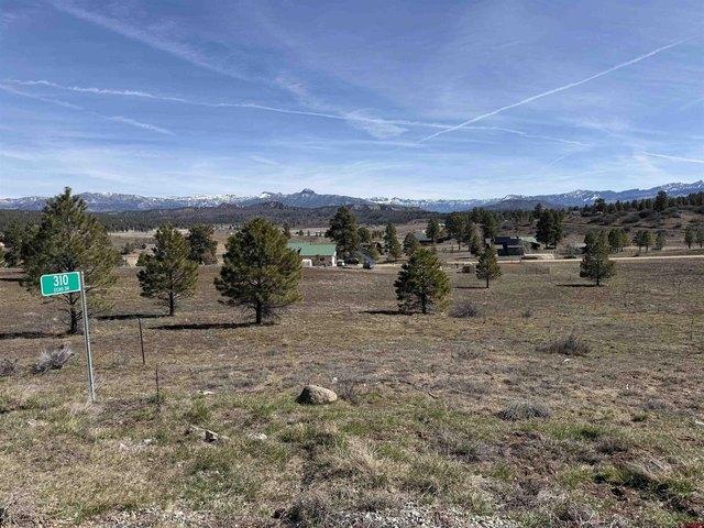 310 Echo Dr, Pagosa Springs, CO 81147