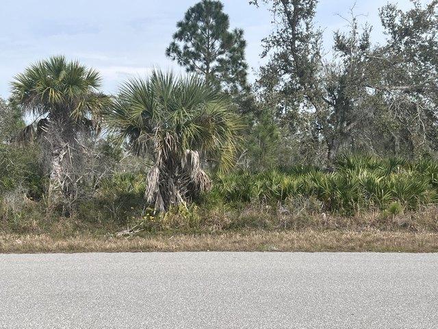 310 Halloran St, Port Charlotte, FL 33953