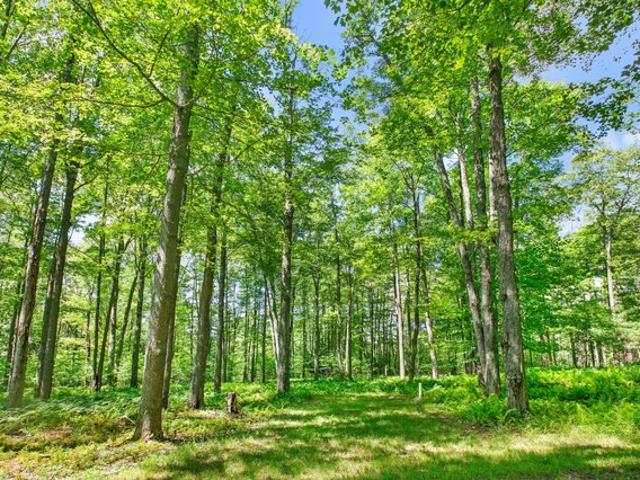 310 Obrien Ln, Marienville, PA 16239