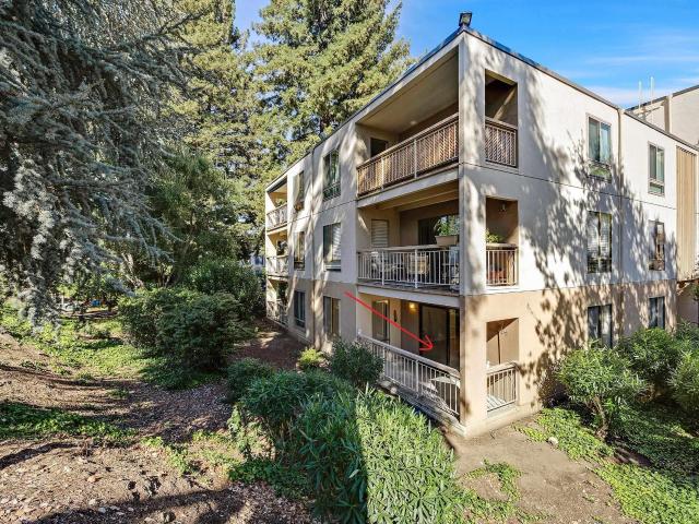 310 N Civic Dr 101