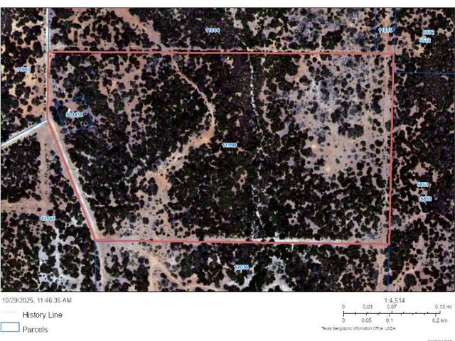 310 San Saba, TX 76877 | MLS #20453 | Compass