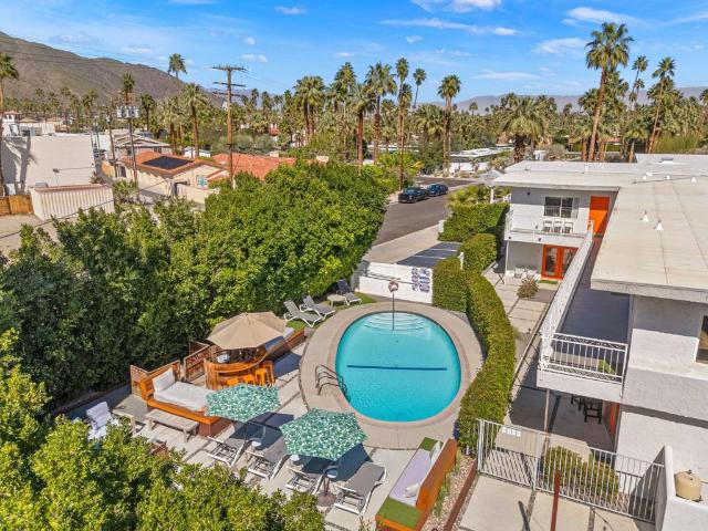 310 Palm Canyon Drive