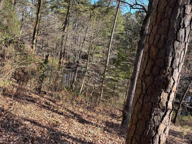 310 Private Road 8570, Winnsboro, TX 75494 | MLS #26001
