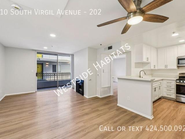 310 Virgil Gorgeous, fully renovated building located in Koreatown