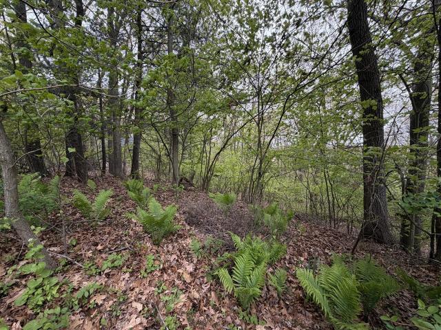 3114 Red Oak Drive # Lot 9