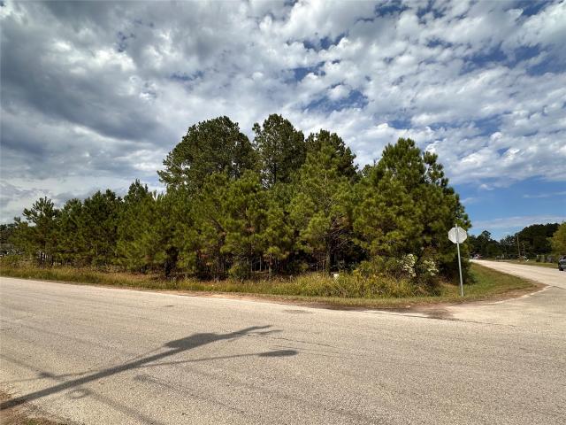 3116 County Road 3479b