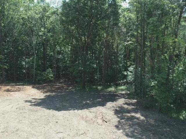 3116 Soaring Hawk Way
