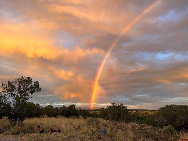 31184 CO 145 Hwy, Redvale, CO 81431