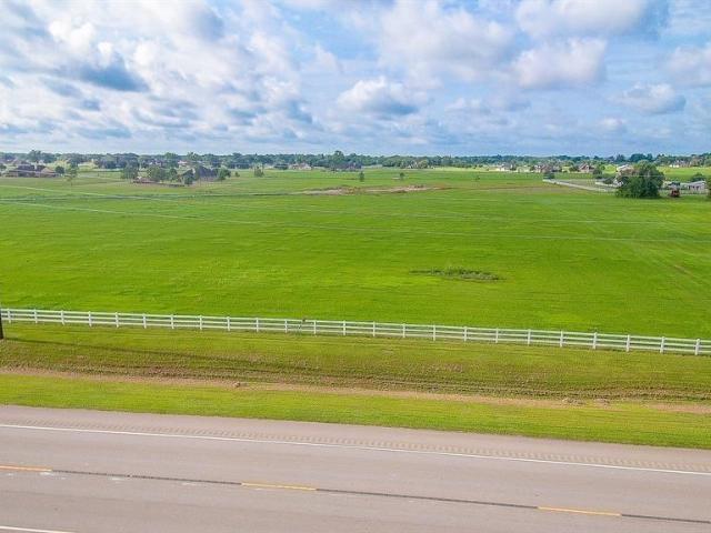 3119 Fm 1462