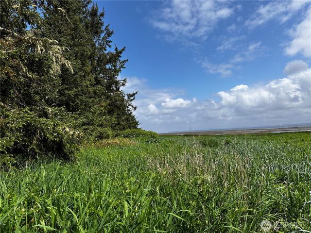 31104 Sandridge Rd, Oysterville, WA 98641 | MLS #2400