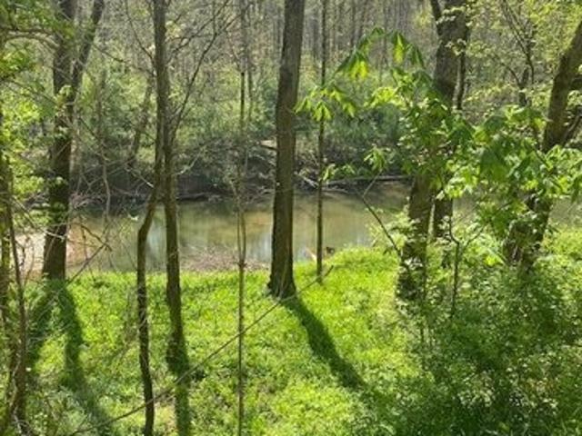 3110 3 S Upper River Rd, Livingston, KY 40445