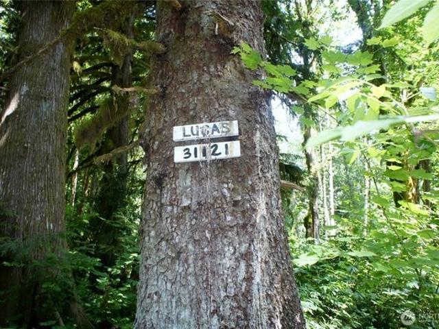 31121 rd Dr NE Lot 22, Arlington, WA 98223