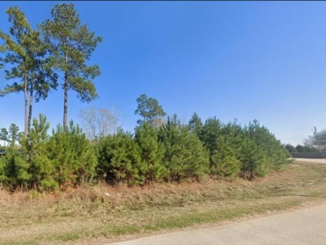 311 County Rd 3479