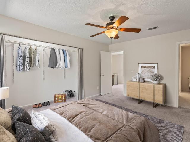 311 Dryden Lane
