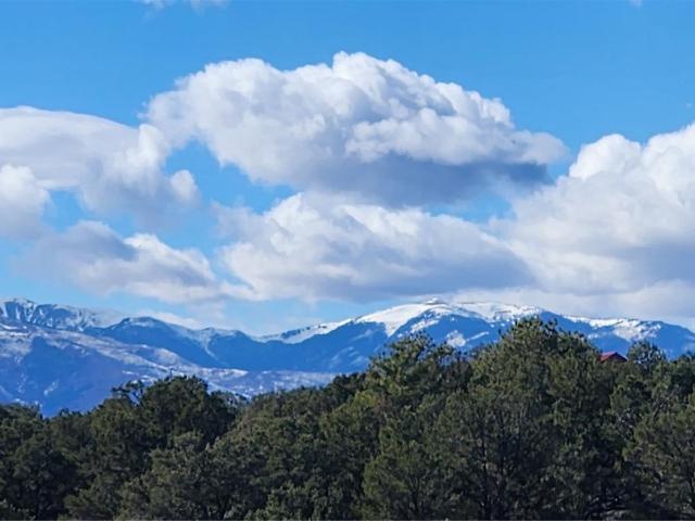 311 Kit Carson Trail