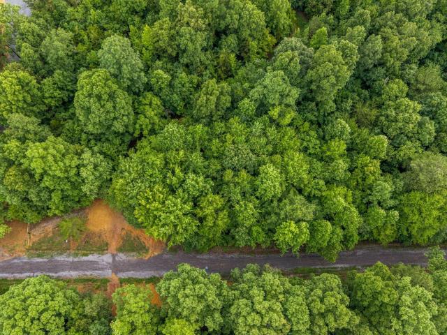 311 Old York Rd, Cleveland, TN 37323 | MLS #3285