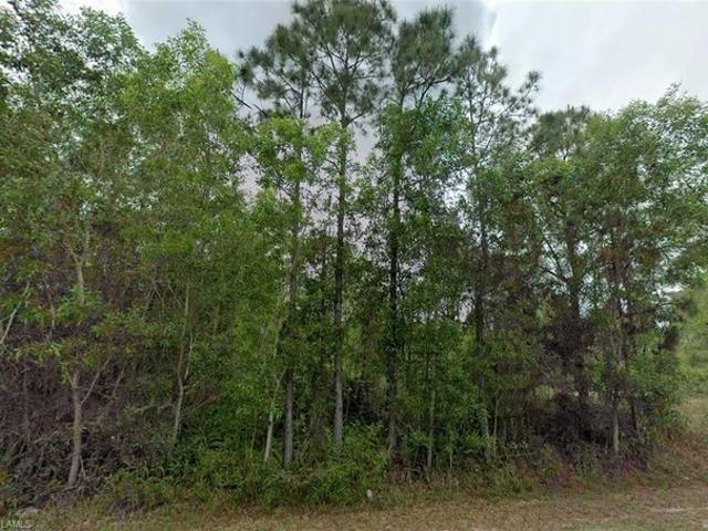 311 Monroe Ave Lot 18, Lehigh Acres, FL 33936