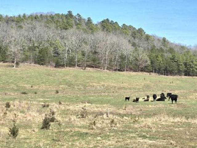 311 Rockhill Rd, Dolph, AR 72528