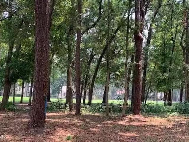 311 Westbrook Rd, Dataw Island, SC 29920 MLS 186906