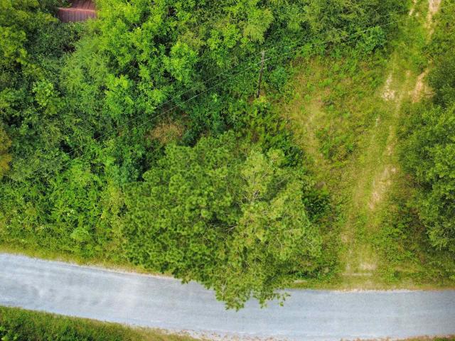 3124 County Road 6