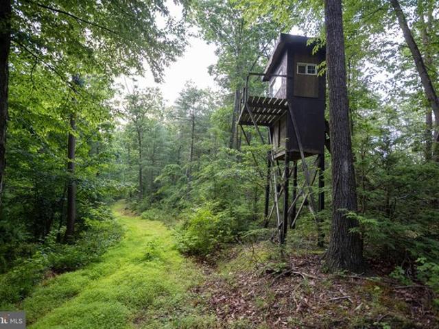 3125 Buckwheat Rd, Millerstown, PA 17062