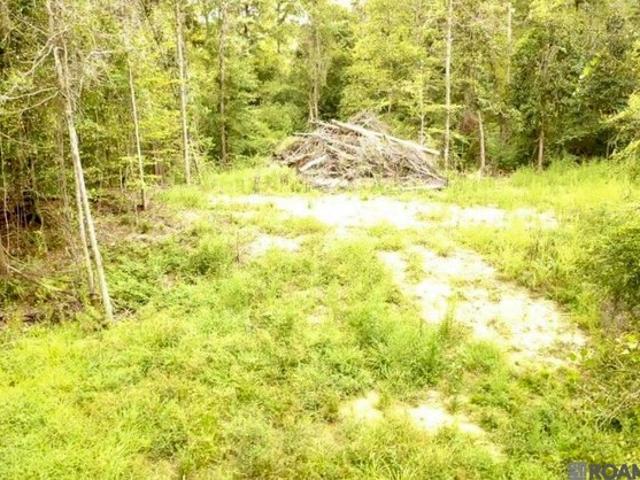 31287 Norred Rd, Holden, LA 70744