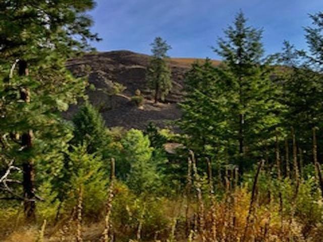 31293 E Blue Grouse Dr, Davenport, WA 99122