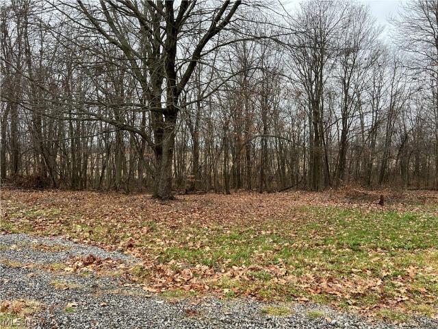 31293 Speidel Road