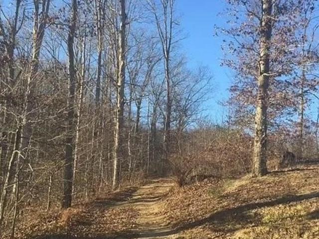 3129 Straight Frk, Alkol, WV 25501