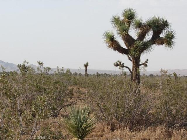 3129 171 06 0 Caughlin Rd, Adelanto, CA 92301
