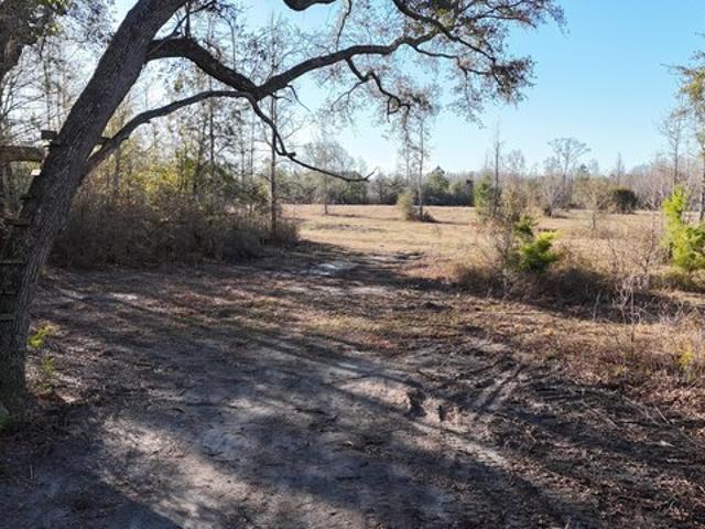 3120 Mount Olive Rd, Bonifay, FL 32425