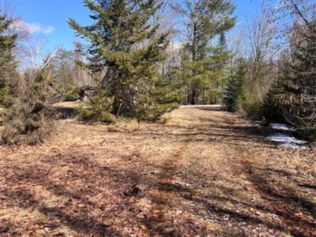 3120 Lakeshore Dr, Curtis, MI 48737