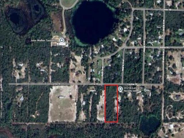 31217 Lorine St, DeLand, FL 32720 | MLS #FC315466
