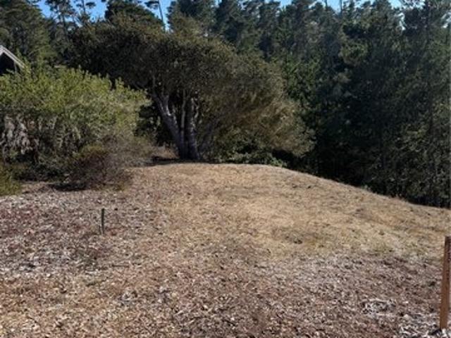 3123 Rogers Dr, Cambria, CA 93428